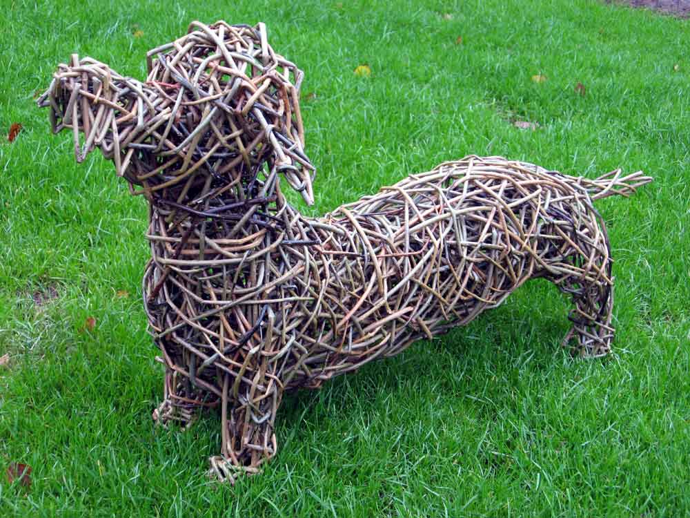 Dandie Dinmont | Caroline Gregson